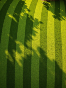 20 Secrets to Creating a Serene Lawn Garden Sanctuary - Decor Frontier